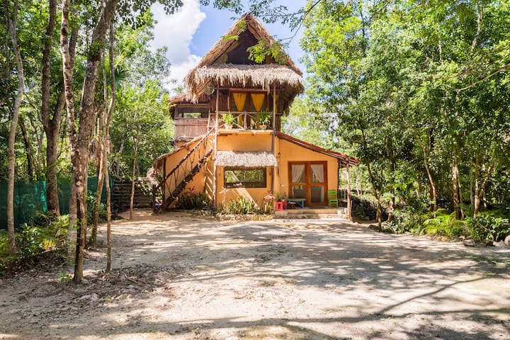 Séjour Unique Dans La Jungle, Proche Tulum - Riviera Maya