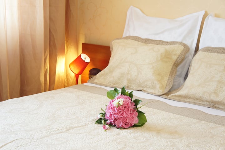 Royal Palace Area, 1 Bedr. Apartment, City Center - Bukarest