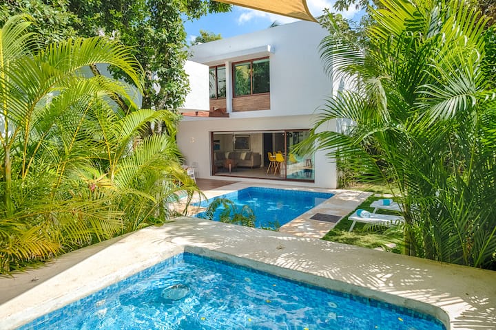 Ventura-akumal-incredible Artists Retreat! - Akumal