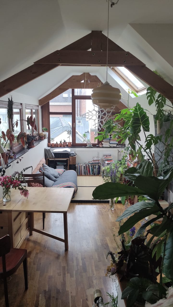 Duplex Lumineux Au Coeur De Bruxelles - Bruxelles