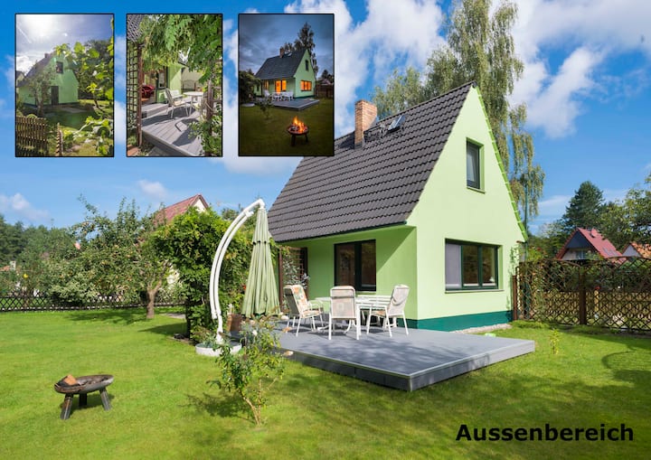 Blick In Die Rostocker Heide - Dierhagen