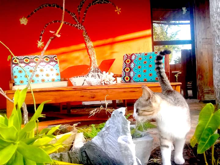 La Sonora, Barra-tofo - Mozambique