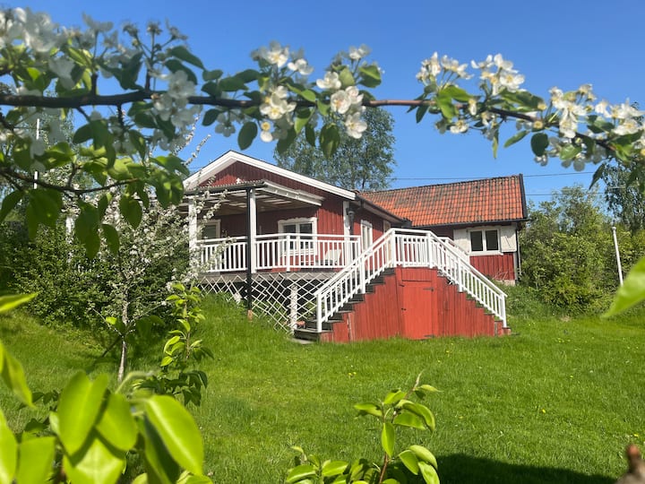 Idyllisk Stuga Med Sjöutsikt! - Gnesta
