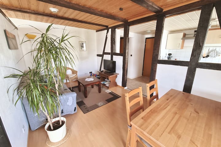 Fewo Winterberg/neuastenberg - Schanze