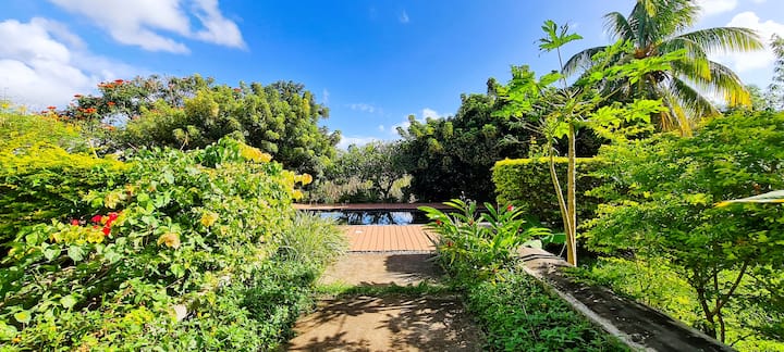 Vert D’o : Refuge éCo-chic Et Sa Piscine Naturelle - Maurice