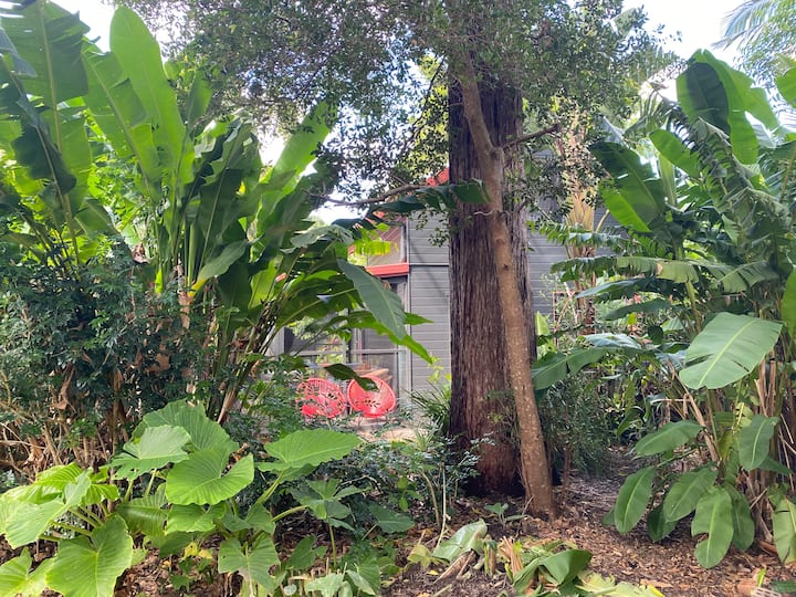 Byron Bay Lush Private Garden Guesthouse And Bikes - Byron Bay