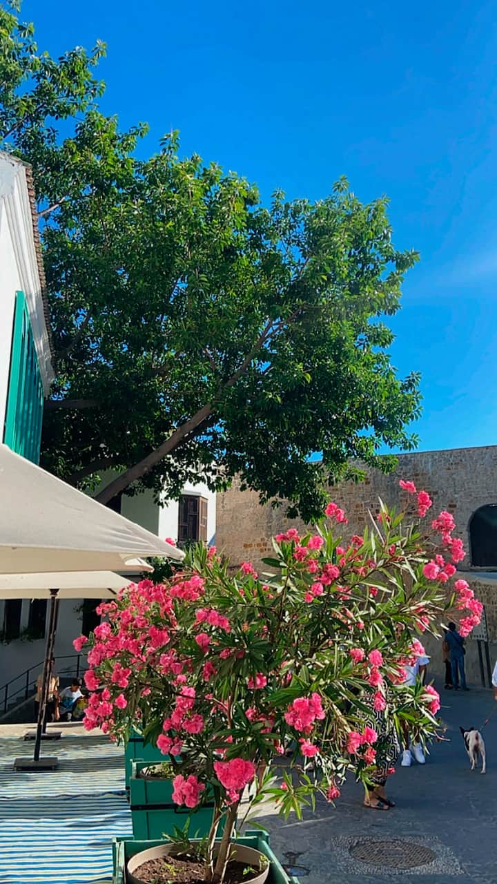 Studio La Colombe – Terrasse Privée - Tangier