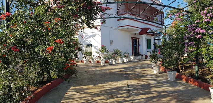 Villa De Luxe. Très Confortable - Cezayir