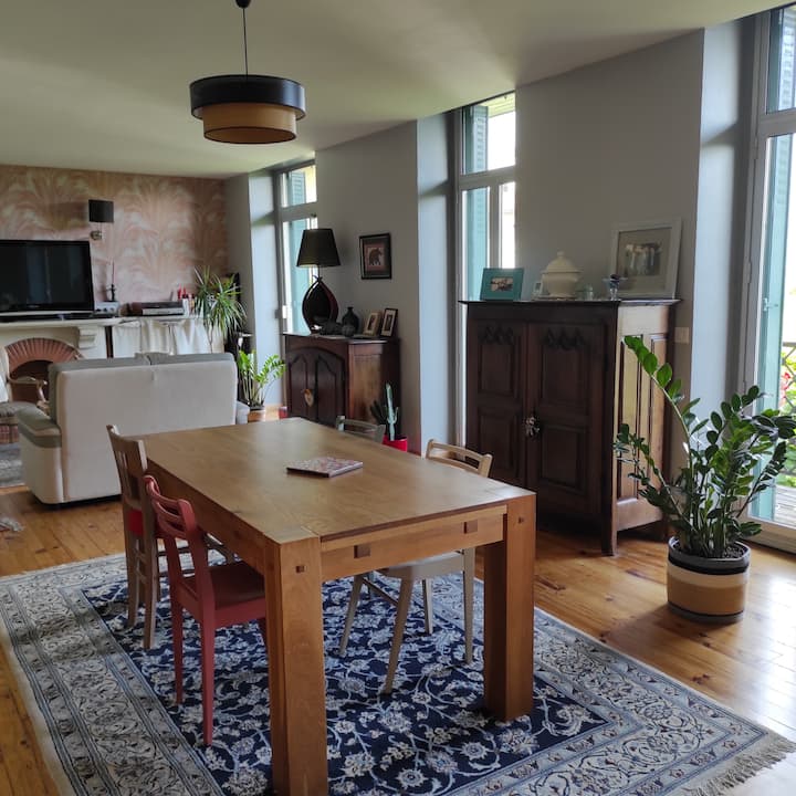 Appartement Vue Pyrénées Et Parc Du Château - Pau