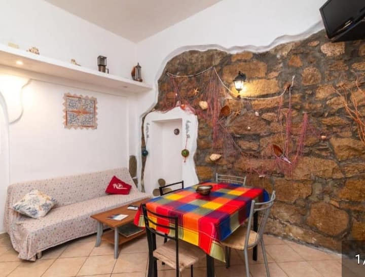 Cavalluccio Marino - La Maddalena