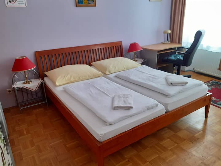 Helles Appartement In Bahnhof Nähe - Wien