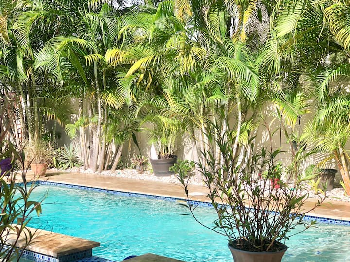 Private 2 Br Backyard Oasis, Walk To Downtown! - St. Petersburg, FL
