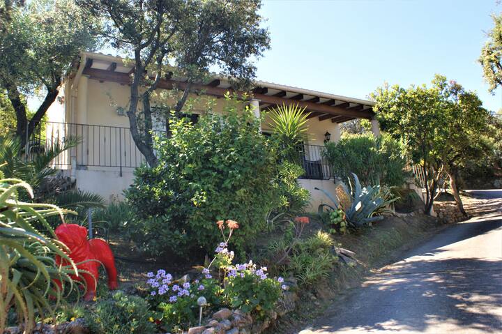 Maison Individuelle Vue Mer N°9 - Belvédère-Campomoro