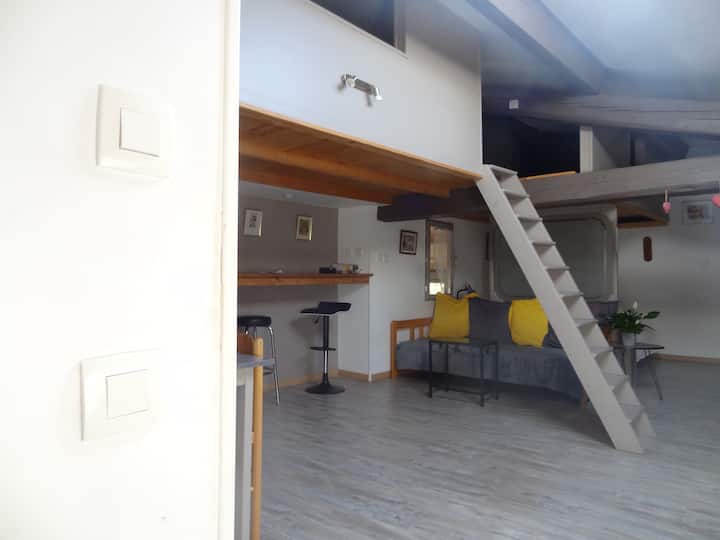 Studio Spacieux - Carcasona