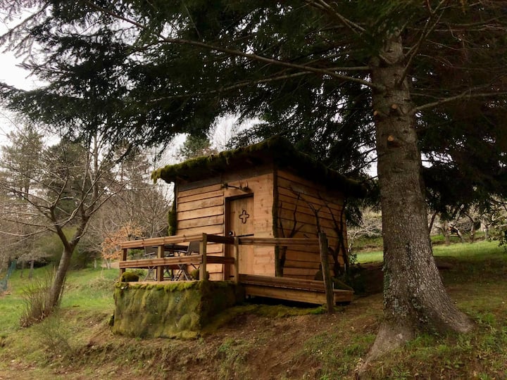 La Cabane Du Campeur - Vizzavona