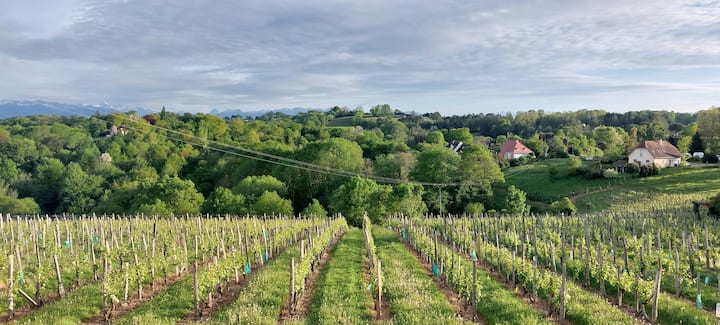 Du Haut Des Coteaux - Lons