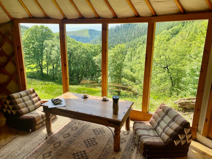 Dyfi Forest - Eco Retreats - Ash Valley Yurt - Machynlleth