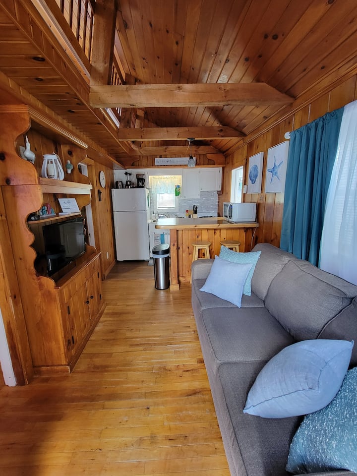Cottage 200ft From Beach And Boardwalk ! - 漢普頓海灘
