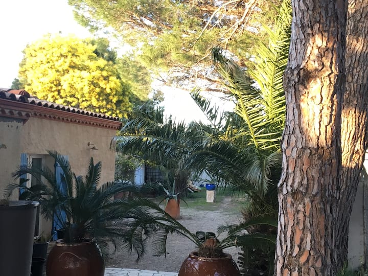Maison Ombragée à Leucate - La Franqui - Leucate