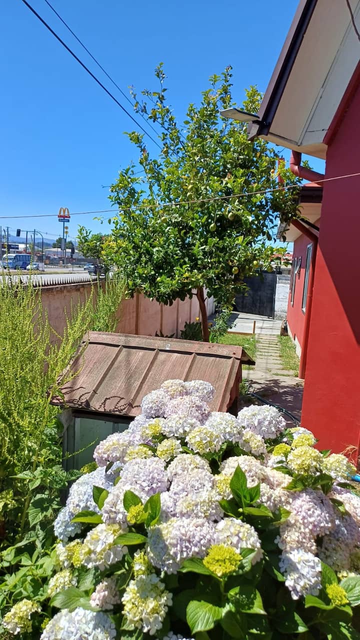 Departamento Privado Por Noches - Talcahuano