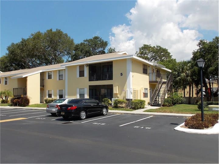 Comfortable And Spacious Condo - St. Petersburg, FL