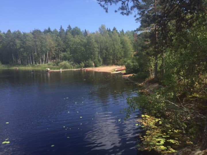 Lovely Lake- Minihouse With Sauna, Jacuzzi & Bbq. - Stockholms län