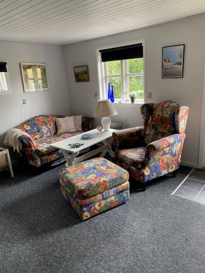 Stort Lyst Anneks Med Egen Terrasse Og Indgang - Skagen