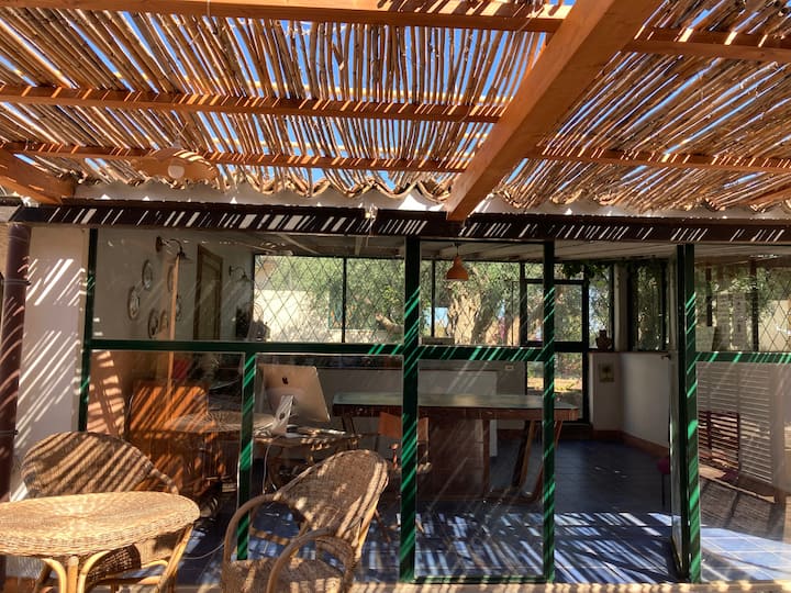 “Sotto La Palma” Mimosa Cottage - Sicile