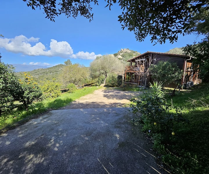 Appartement Dans Le Maquis - Porto Vecchio - Figari