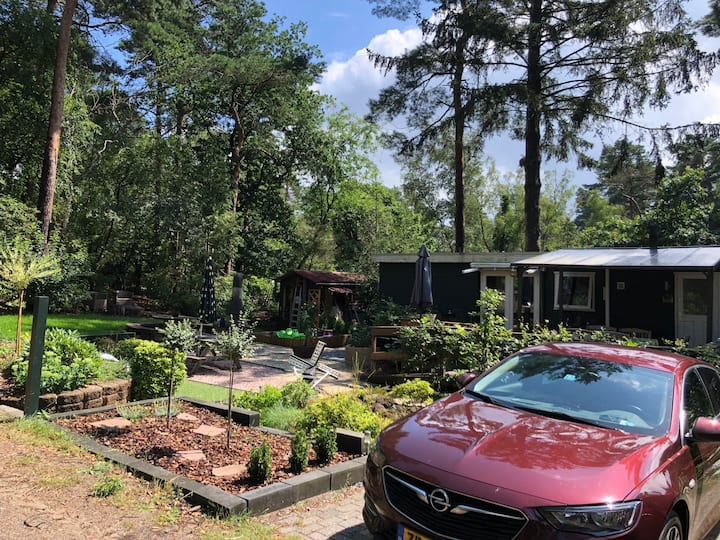 6 Pers. Chalet Veluwe Camping Capfun Bij Nunspeet - Nunspeet