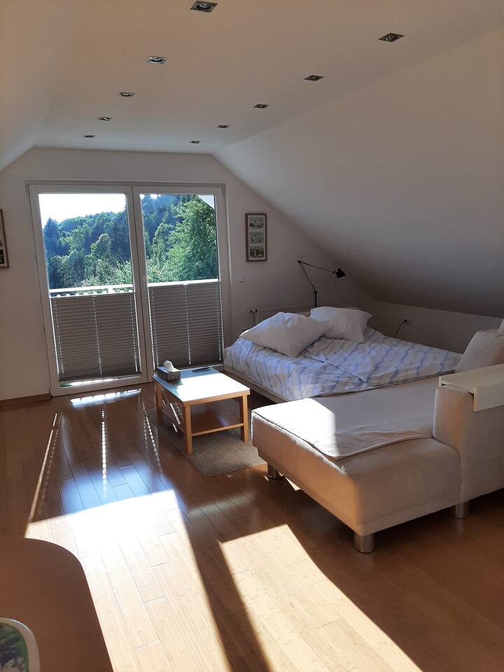 Apartment Manca, Hike & Bike Paradise Near Bled - Slap