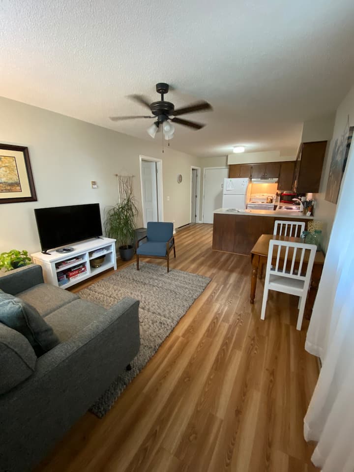 Spacious And Bright 1 Bedroom Apartment Near Emu - Harrisonburg, VA