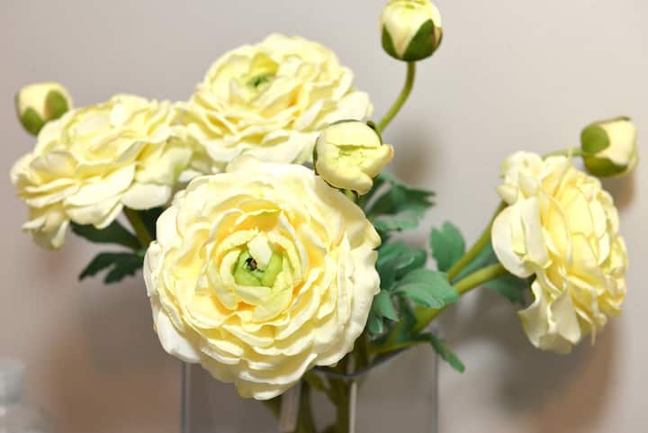 Jay's Studio Apartment - Bronx, NY