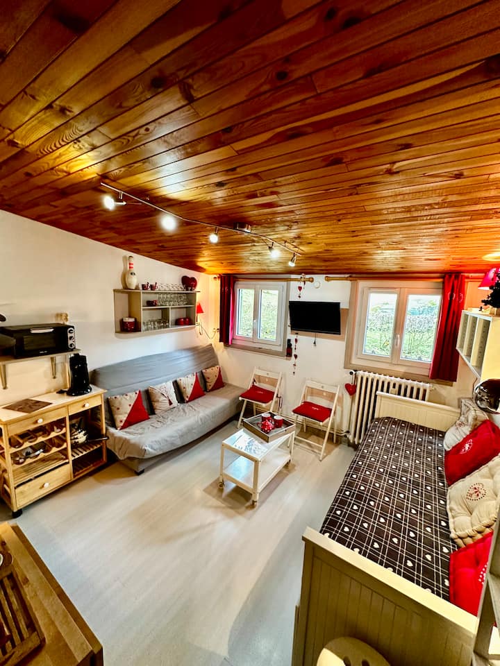 Studio Le Mont-dore - Chastreix