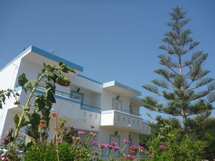 Kira's Garden - Kos