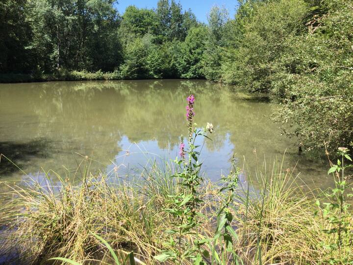 Adorable,private Secluded Location Off The Grid - Argenton-sur-Creuse