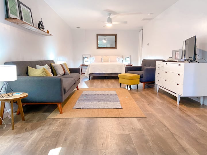 Modern, Spacious, Dog Friendly W. Asheville Studio - Asheville, NC