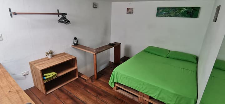 Green Parrot San Antonio - Cali