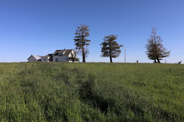 Deary Vacation Rentals & Homes - Idaho, United States | Airbnb