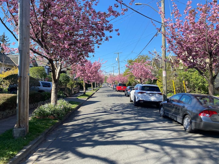 City Of Gardens - Respite Stay 55+ - Victoria