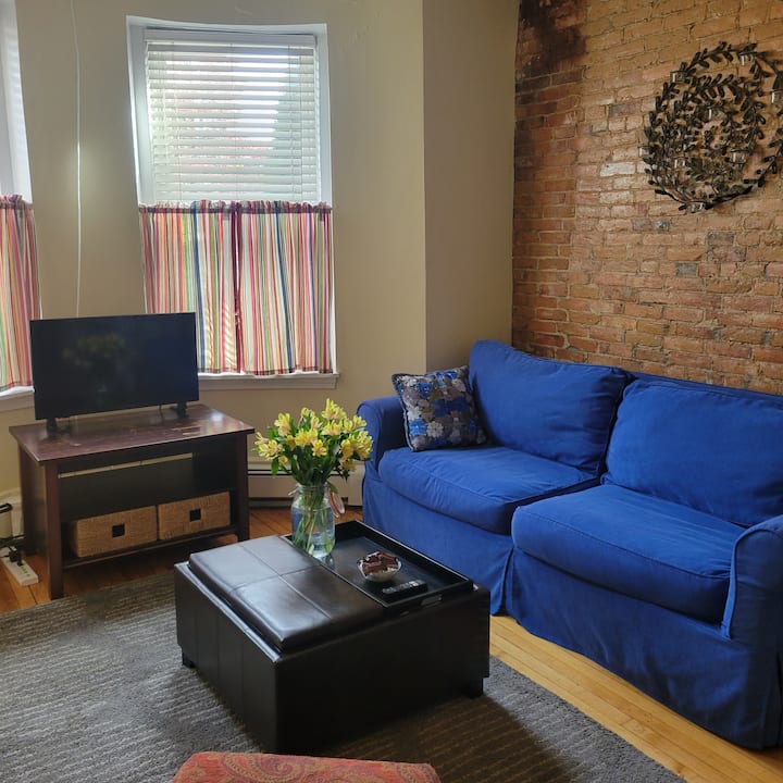 Classic Boston:  Lovely 1br Renovated Condo! - Boston, MA