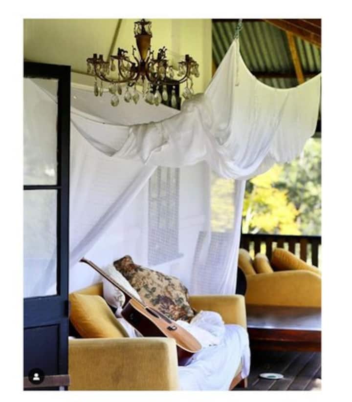 Nightcap Exchange, Nature And Hiking Platform - Nimbin