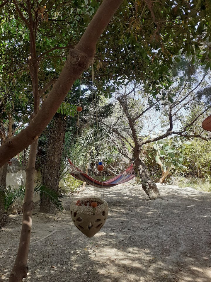 Garden House, Near Sea And City - Greece