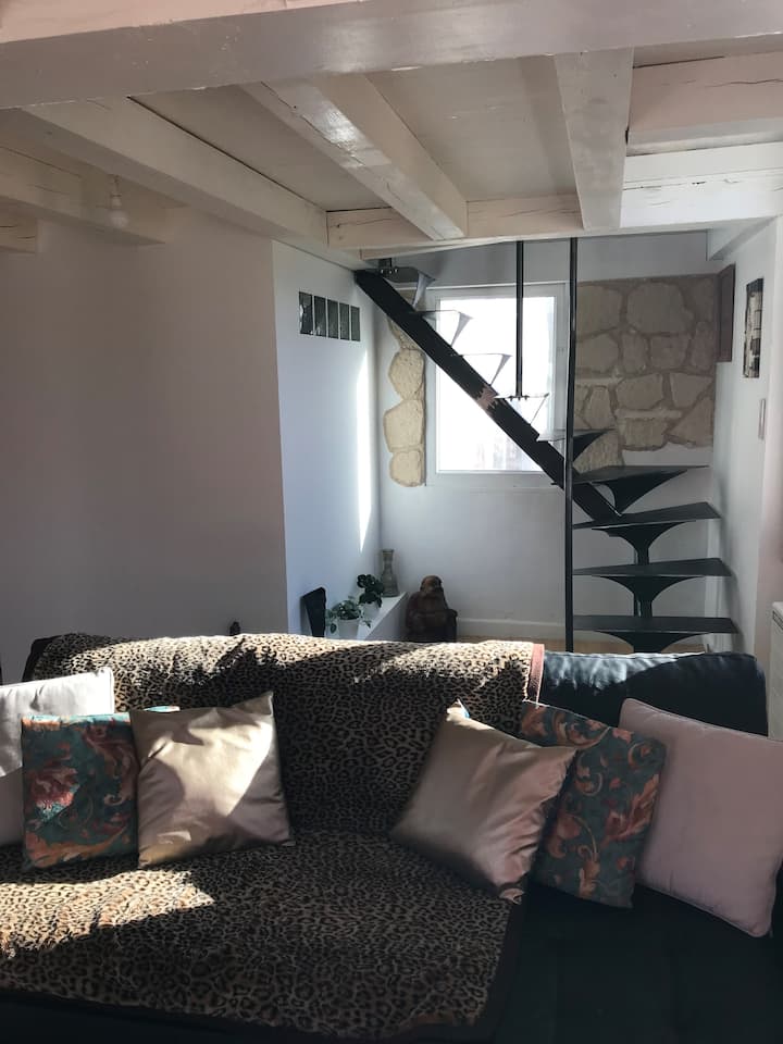 Joli Duplex Spacieux 70 M2 Au Cœur De Biarritz. . - Biarritz