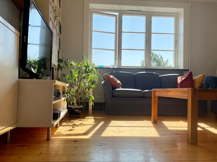 Peaceful, Central With Balcony. - Oslo