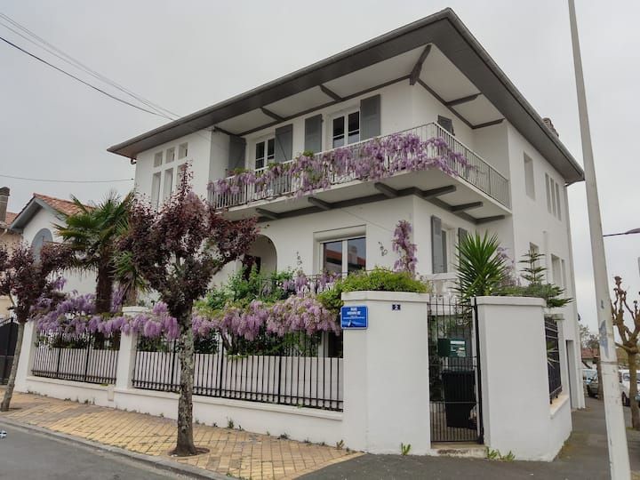 Vignes Glycine - Pays basque français