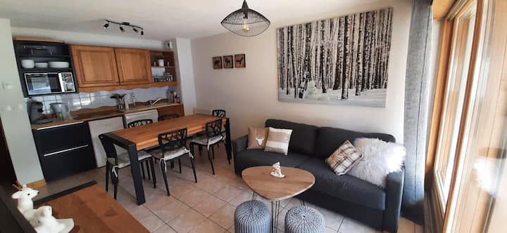 Beautiful Apartment For 6-8 People, Quiet, At The Foot Of The Piste, Near Buissonnière Lake - Les Deux Alpes