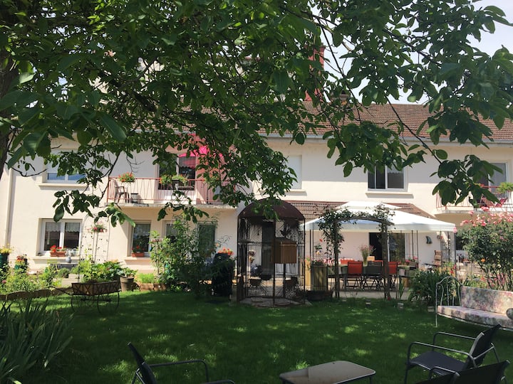 F1 Gelinotte - Luxeuil-les-Bains