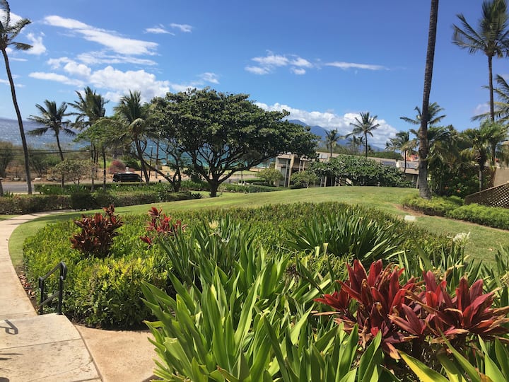 Remodeled Bathrooms, Kitchen-prime Location - Wailea, HI