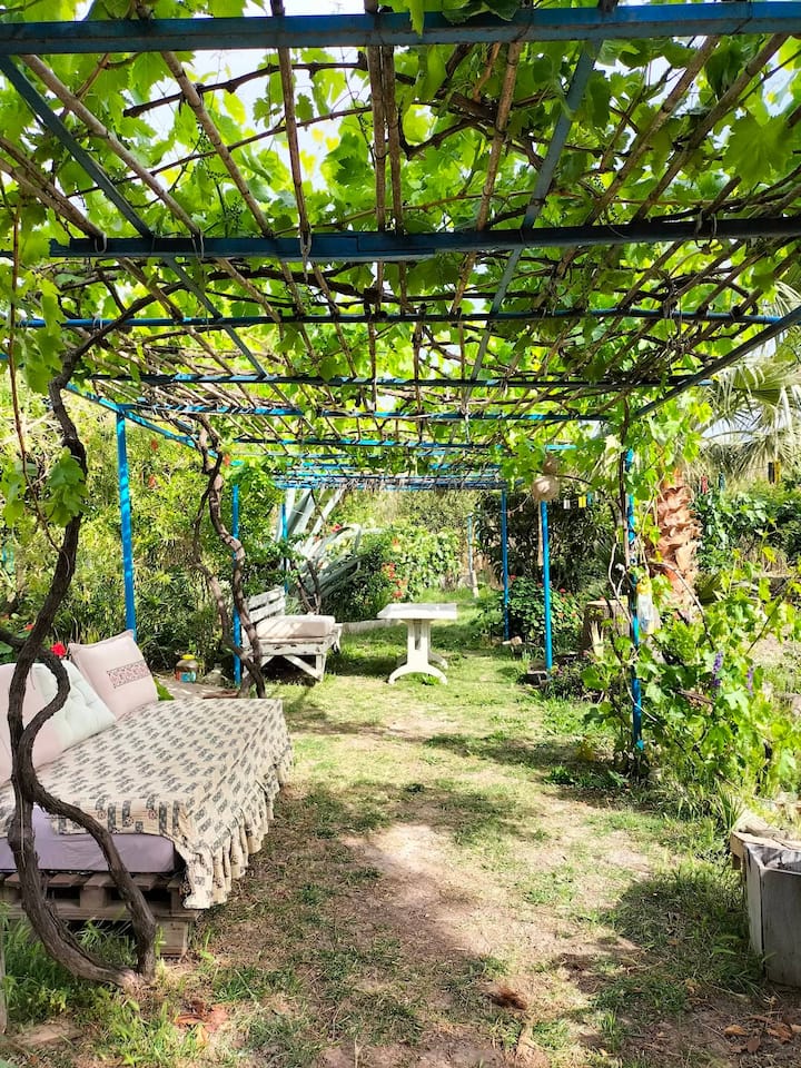 Double Room In A Spacious Garden - Kos
